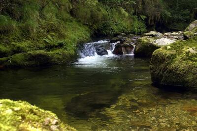 Ruta del Alba, parque natural de Redes , PR AS- 62 | Rutas de Asturias